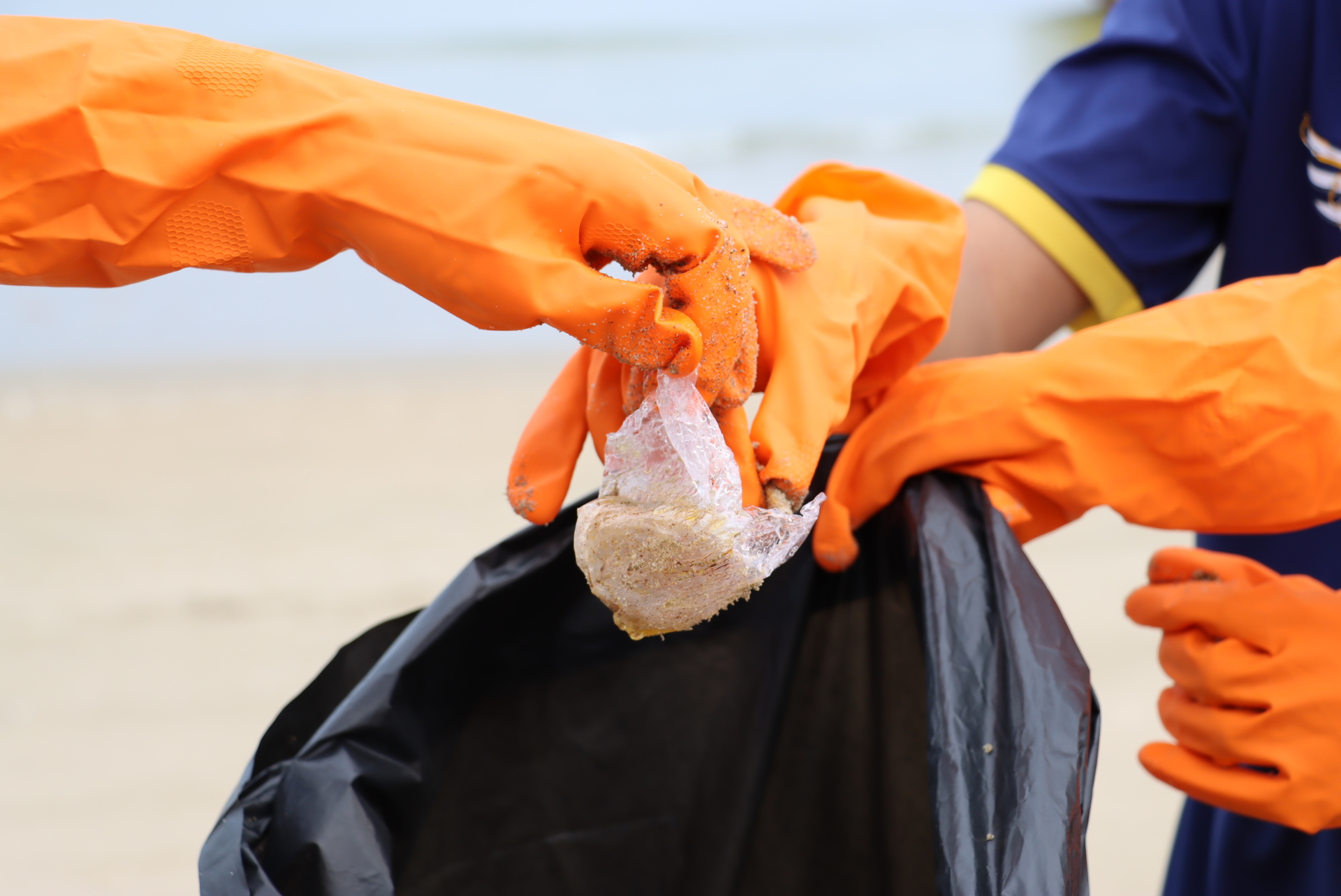 Beach Cleanup ISE International School Eastern Seaboard