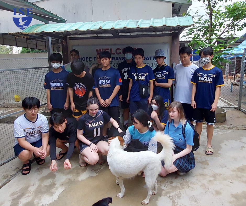 Celebrating University Enrollments: Haneul’s Inspiring Journey – ISE ...